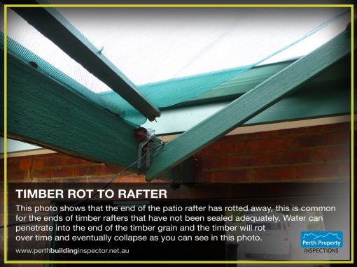 Timber Rot to Rafter - Perth Building Inspections